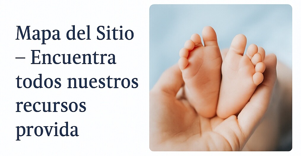 Mapa del Sitio – Torrent Si a la Vida